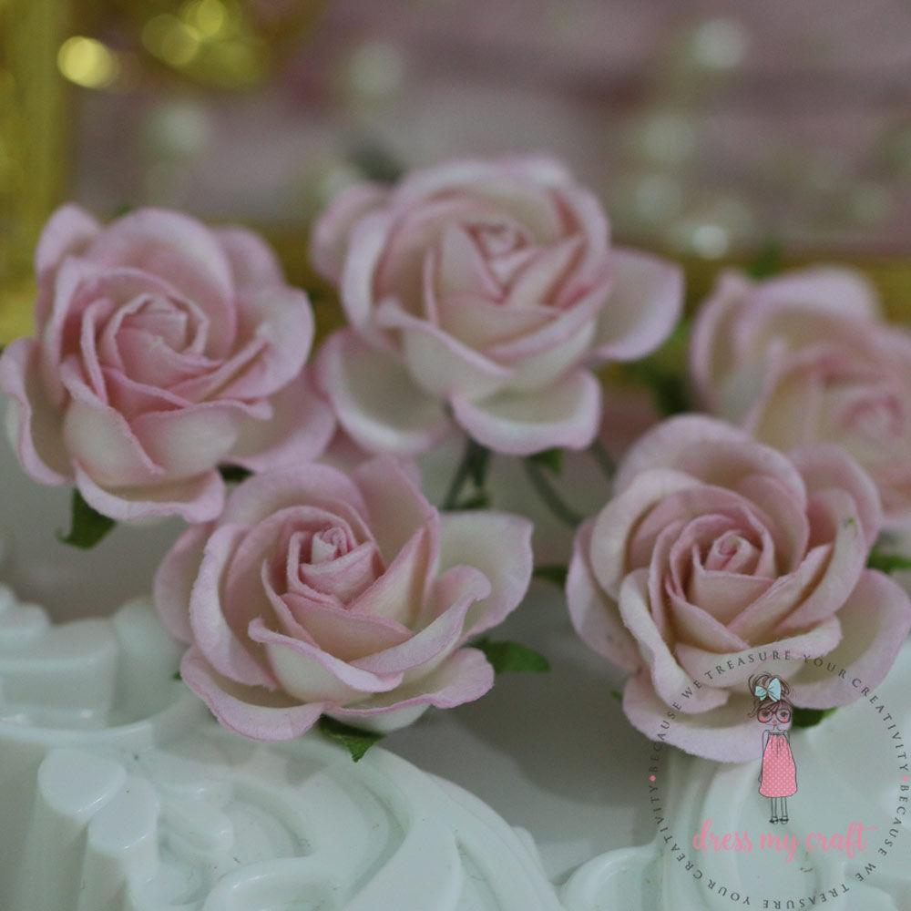 Curved Roses 35 MM - Soft Pink Combo – CRAFTERS CORNER