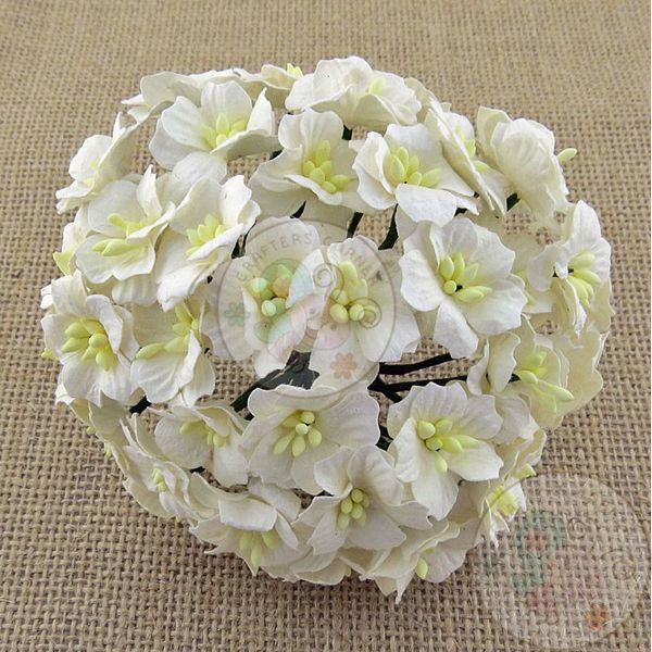 White - Cosmo Combo – CRAFTERS CORNER